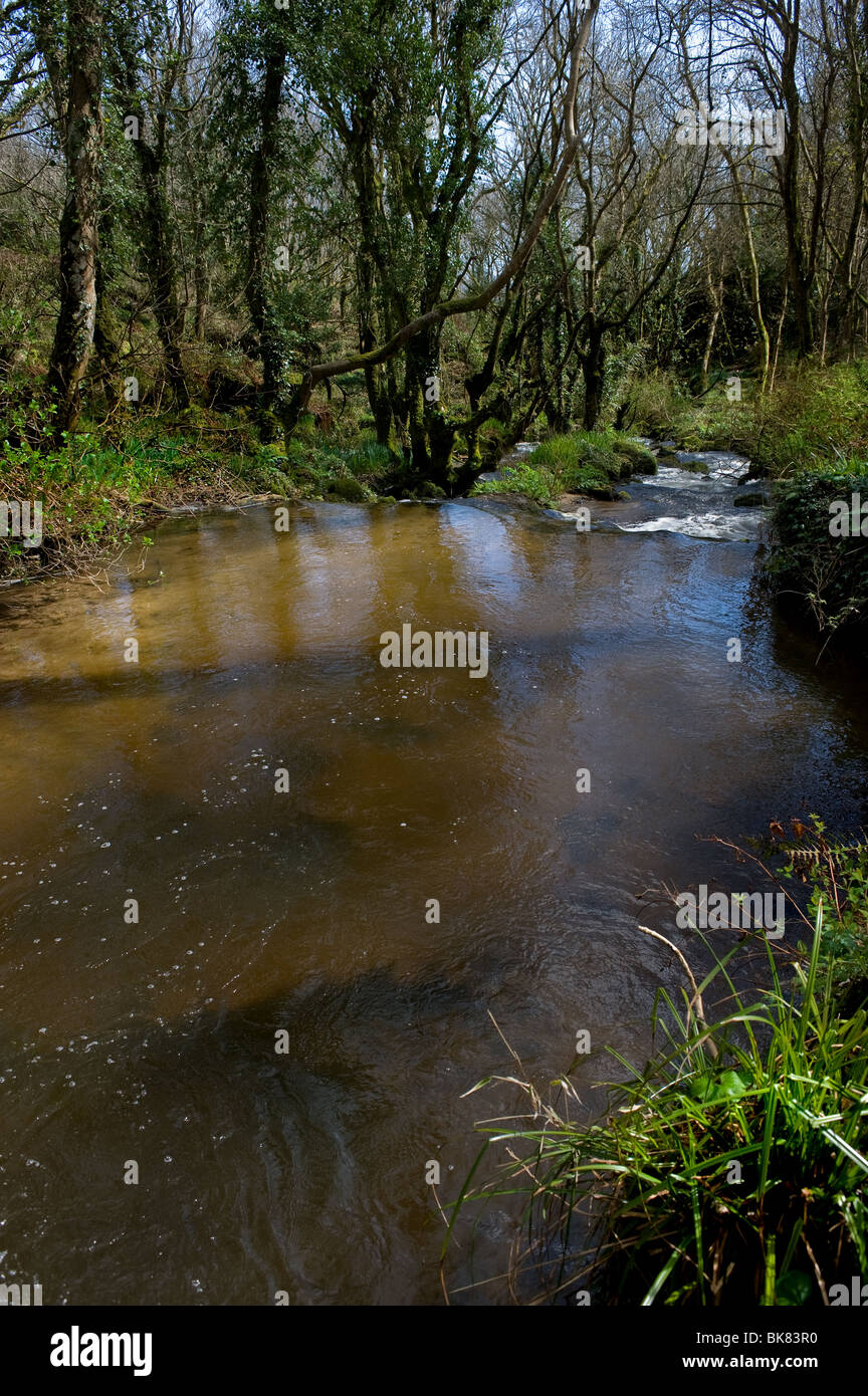 Deep brook hi-res stock photography and images - Alamy