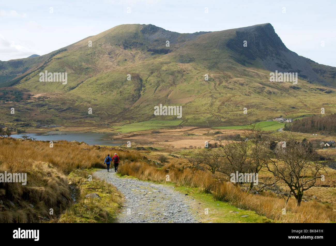 Mynydd Drws-y-coed and Y Garn (Nantlle Ridge) over Llyn-y-Gadair ...