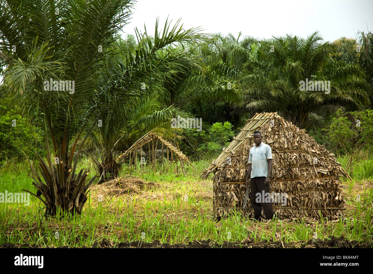 Makeshift shack hi-res stock photography and images - Alamy