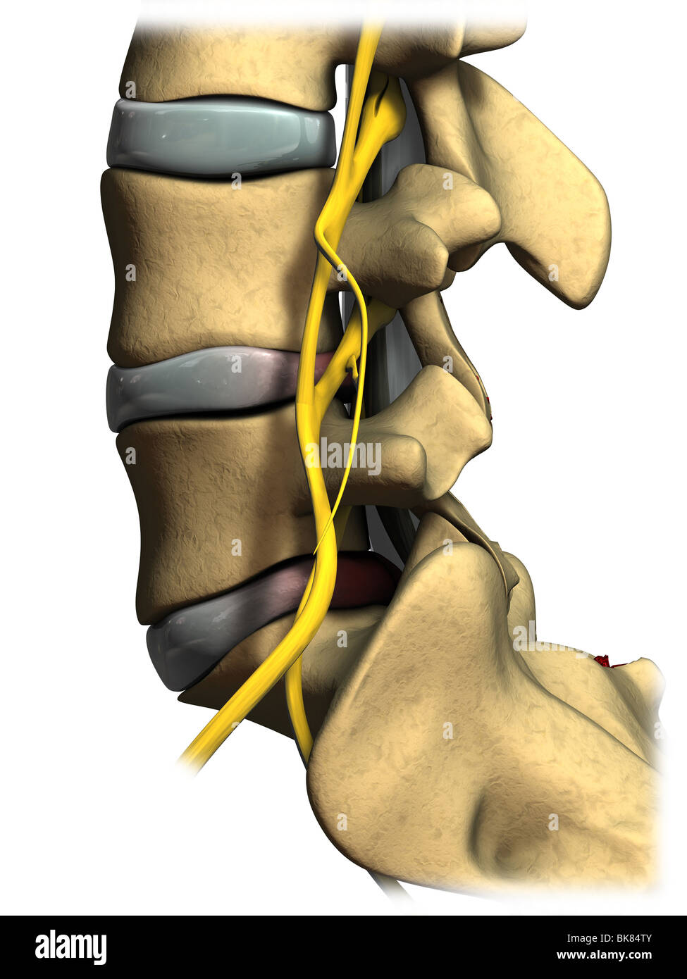 L5 s1 hi-res stock photography and images - Alamy