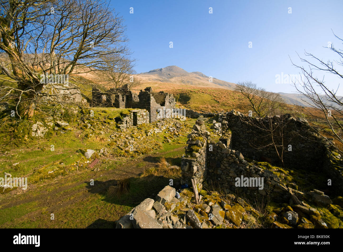 Arenig Fawr from the ruined farm at Amnodd-wen, in the Arenig hills ...