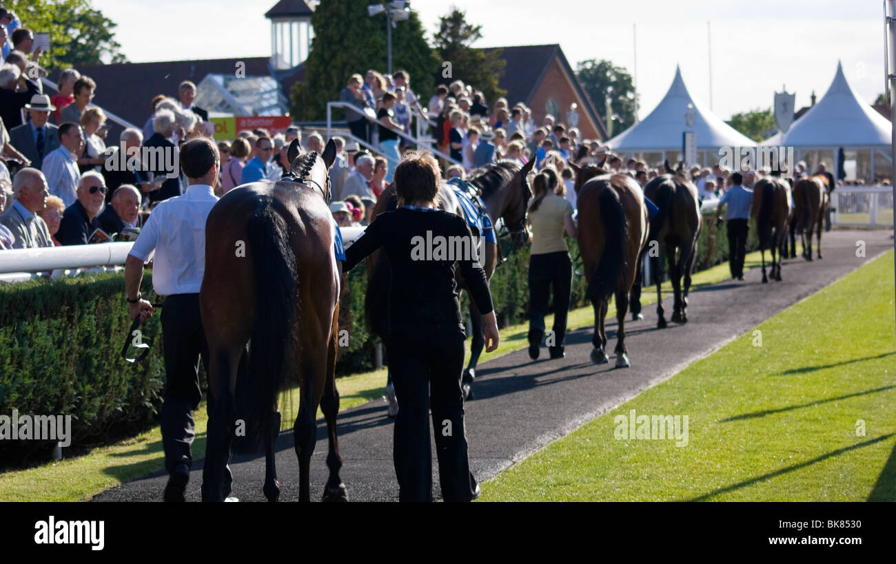 The Parade ring and Winners enclosure at Newbury racecourse Stock Photo ...