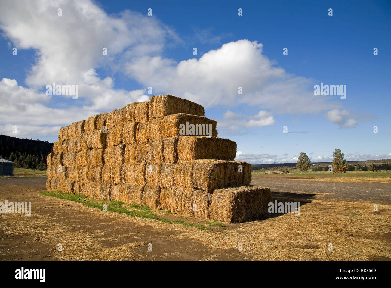 Giant bales of grass hay stacked on a large cattle ranch in central ...