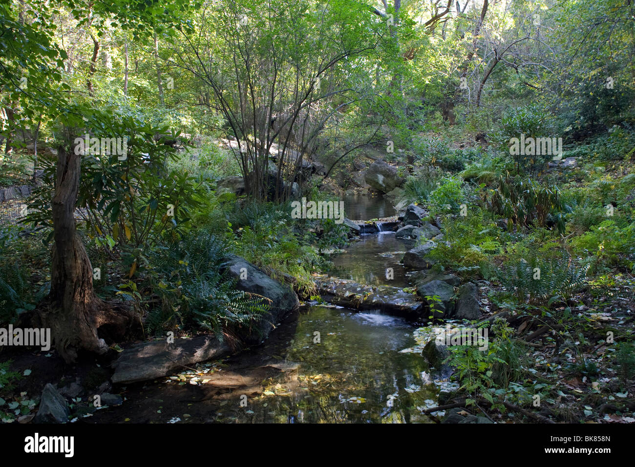 The Ramble New York - Anacetoz