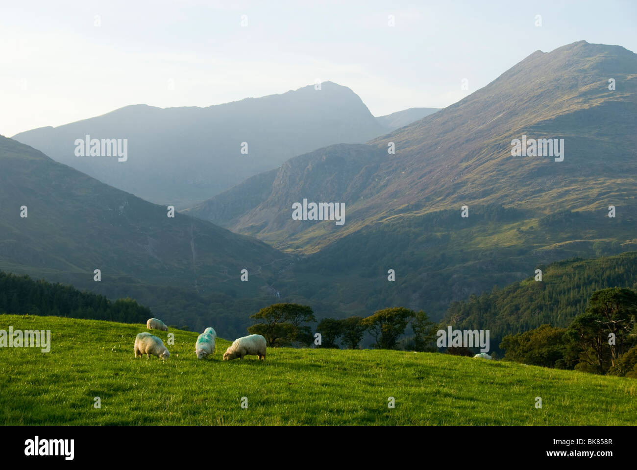 The Snowdon (Yr Wyddfa) group over Nant Gwynant, Snowdonia, North Wales ...