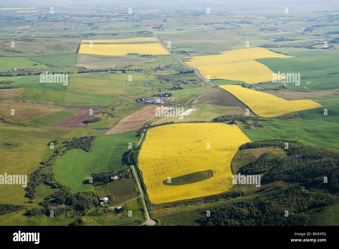 Canola crops aerial hi-res stock photography and images - Alamy