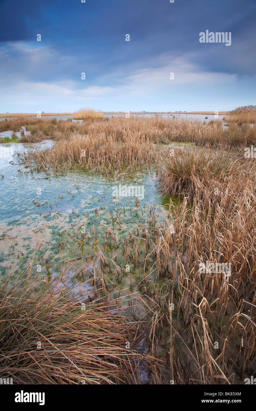 The Alkborough Flats Tidal Defence Scheme Stock Photo - Alamy