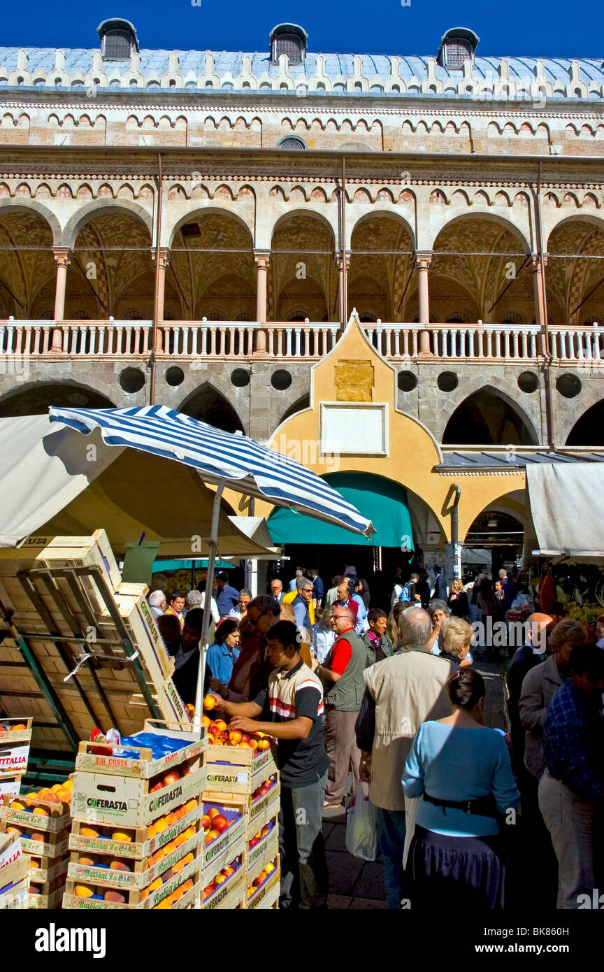 Salone hi-res stock photography and images - Alamy