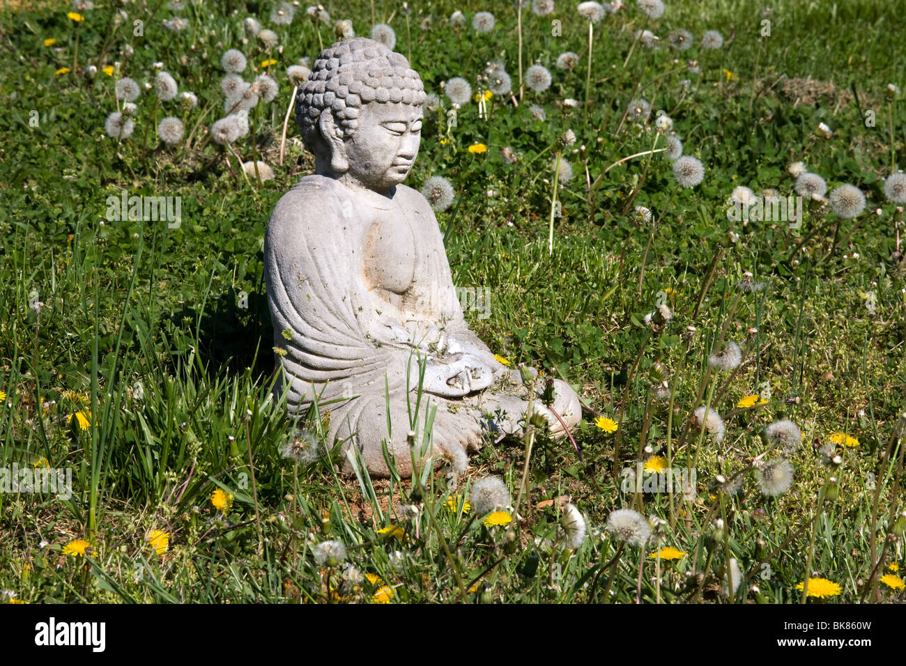Buddha statue in field at sunrise Stock Photo - Alamy