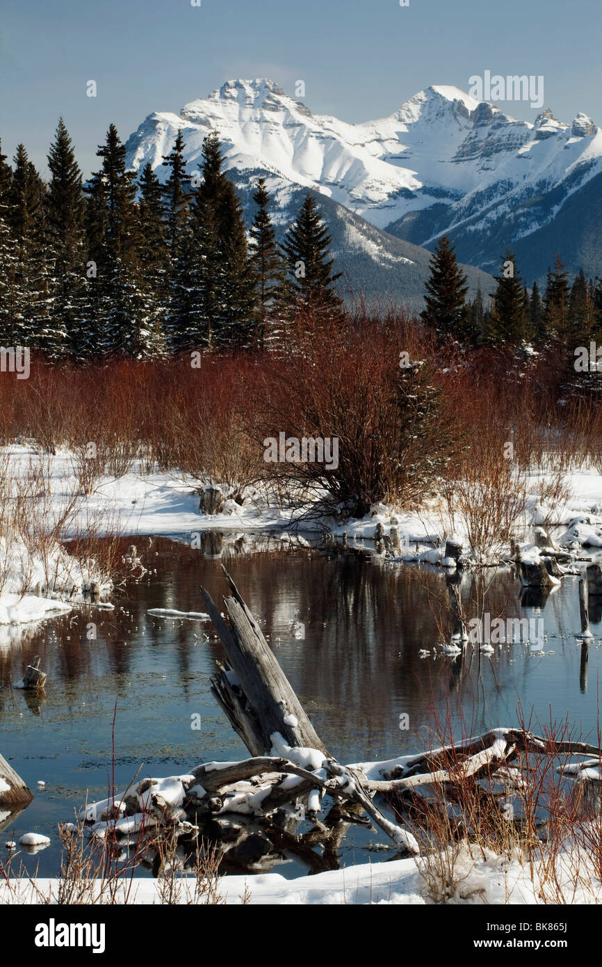 Winter Over Vermilion Lake, Banff National Park, Alberta, Canada Stock ...