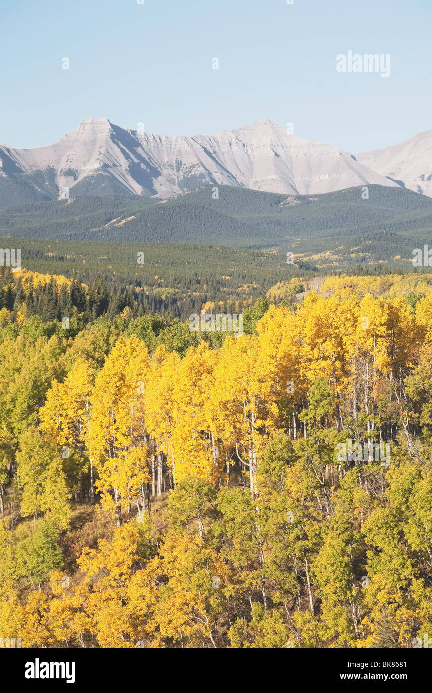 Turner valley alberta hi-res stock photography and images - Alamy