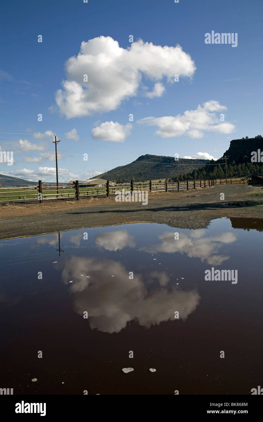 Spring clouds in a blue sky reflected in a rain puddle on a cattle ...