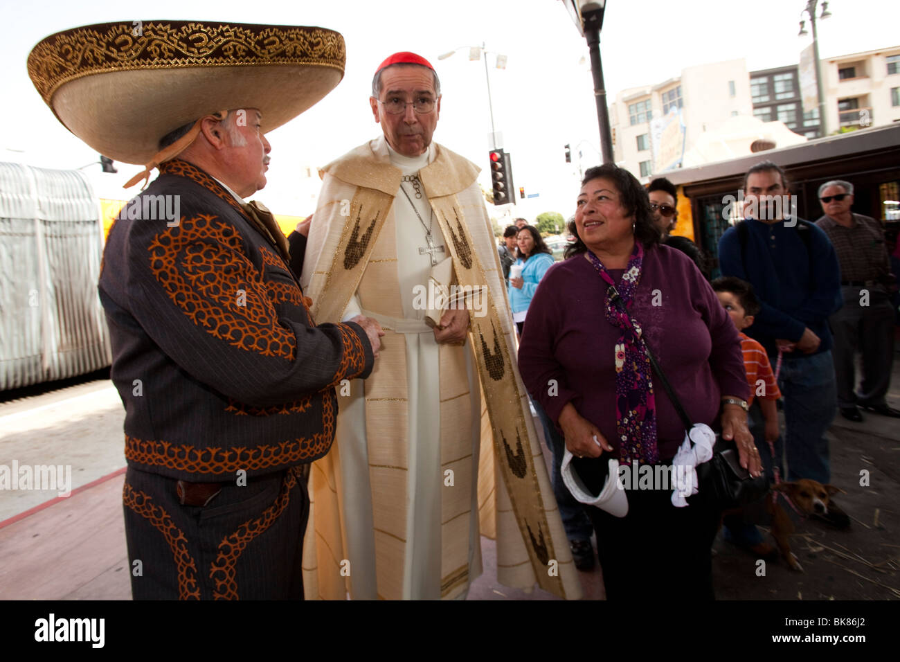 Mexican cardinal hi-res stock photography and images - Alamy