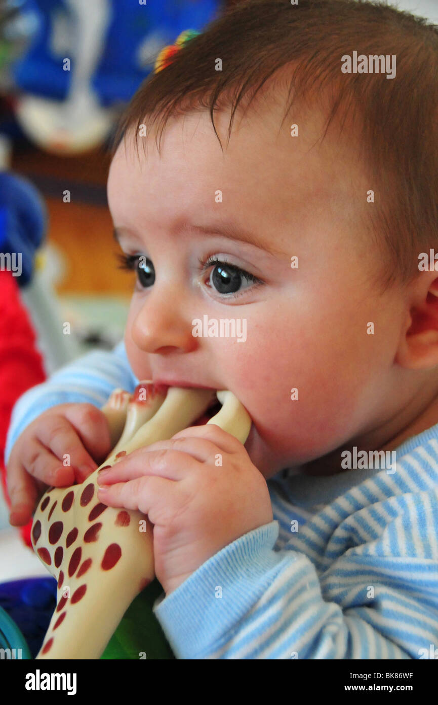 Five months old baby Stock Photo - Alamy