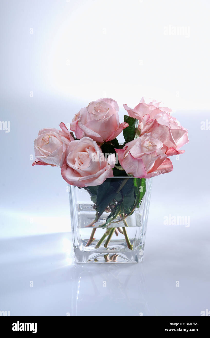 Glass vase hi-res stock photography and images - Alamy