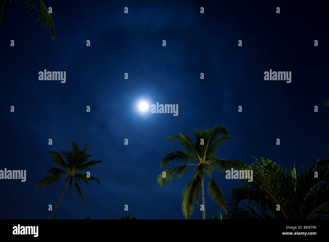 Night sky moon clouds stars hi-res stock photography and images - Alamy