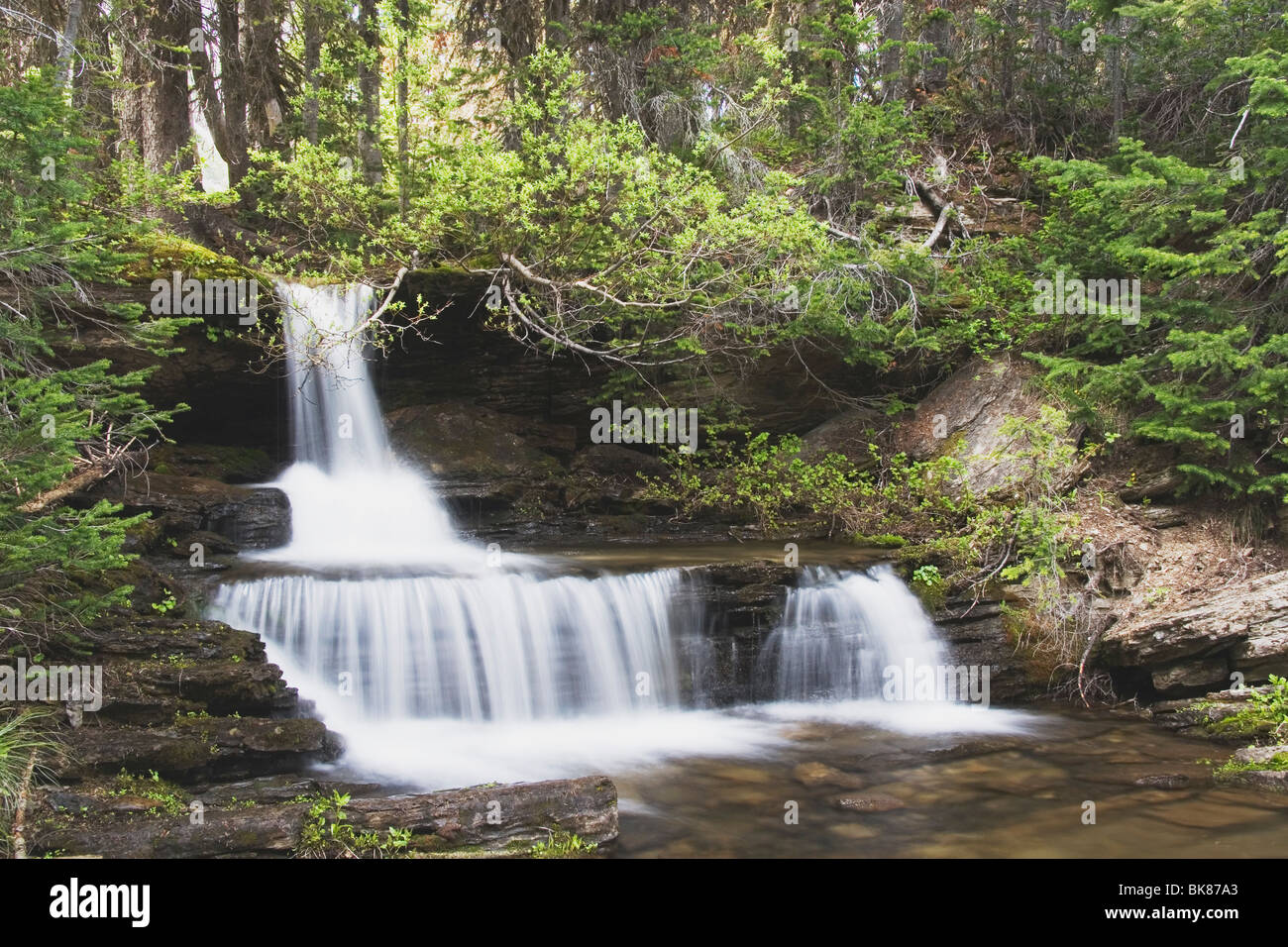 Small Waterfall, Waterton Lakes National Park, Alberta, Canada Stock ...