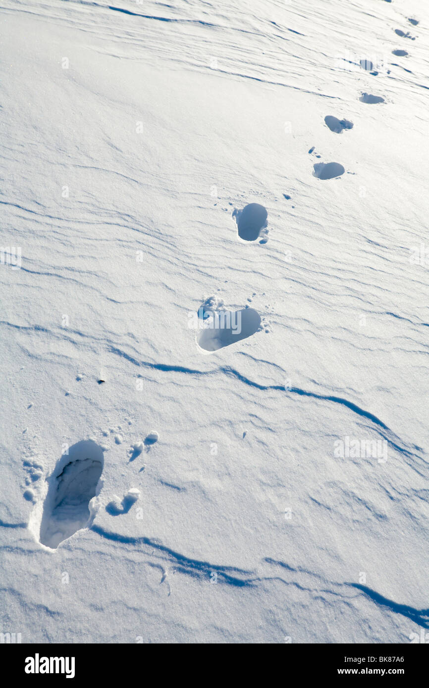 Footprints in the snow Stock Photo - Alamy