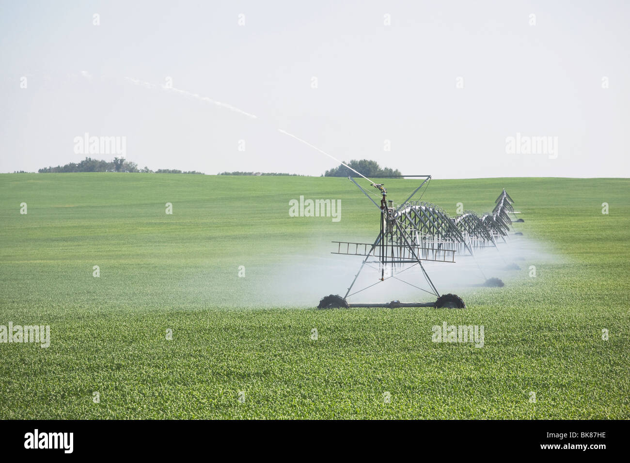 Irrigation Line Spraying Green Field Stock Photo - Alamy
