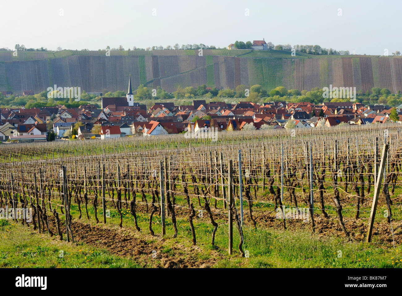Nordheim and vogelsburg hi-res stock photography and images - Alamy