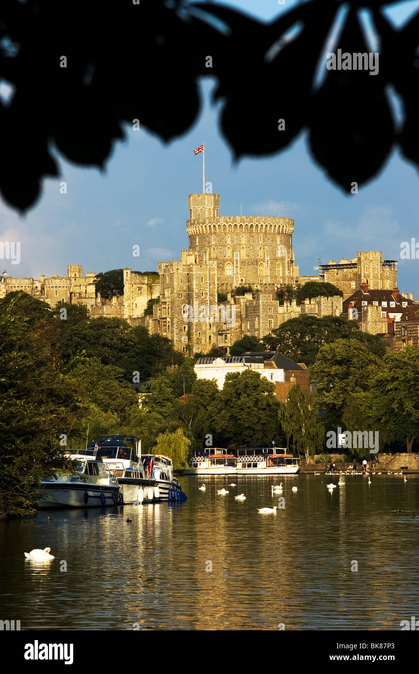 Windsor Castle & River Thames Stock Photo - Alamy
