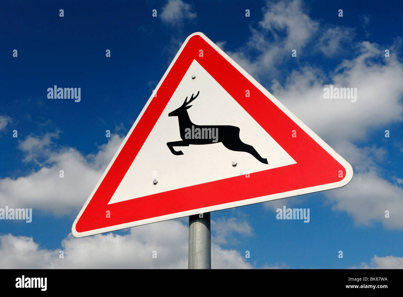 Traffic sign deer crossing hi-res stock photography and images - Alamy