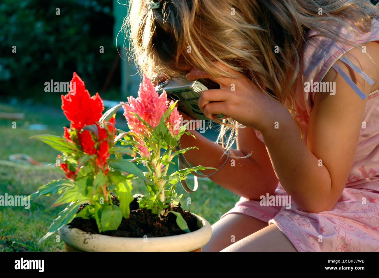 Girl Taking Photo of Flowers Stock Photo - Alamy