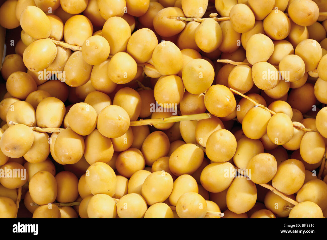 Frische datteln hi-res stock photography and images - Alamy