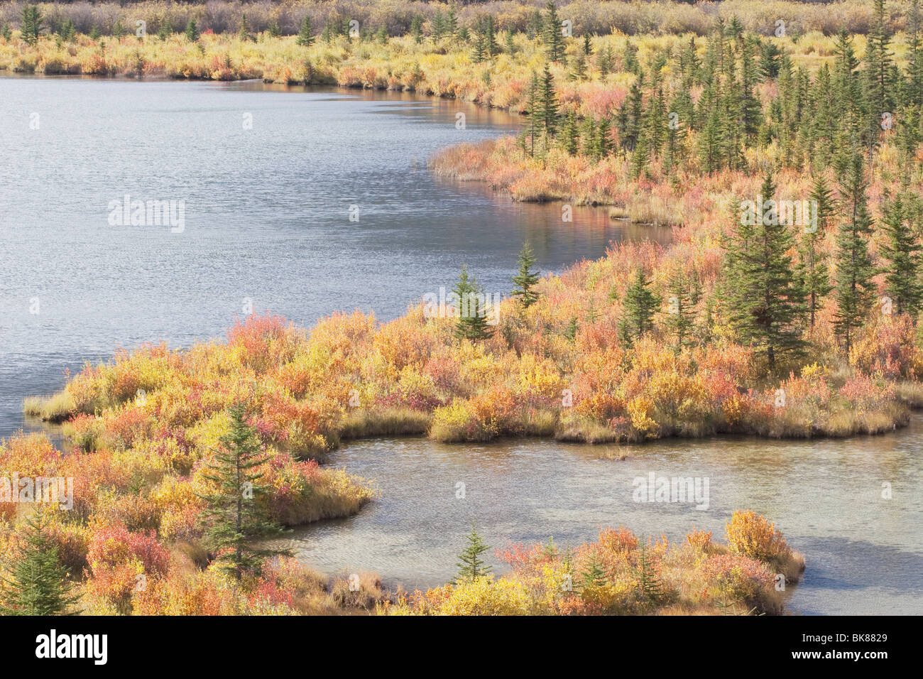 Vermilion Lakes, Banff National Park, Alberta, Canada Stock Photo - Alamy
