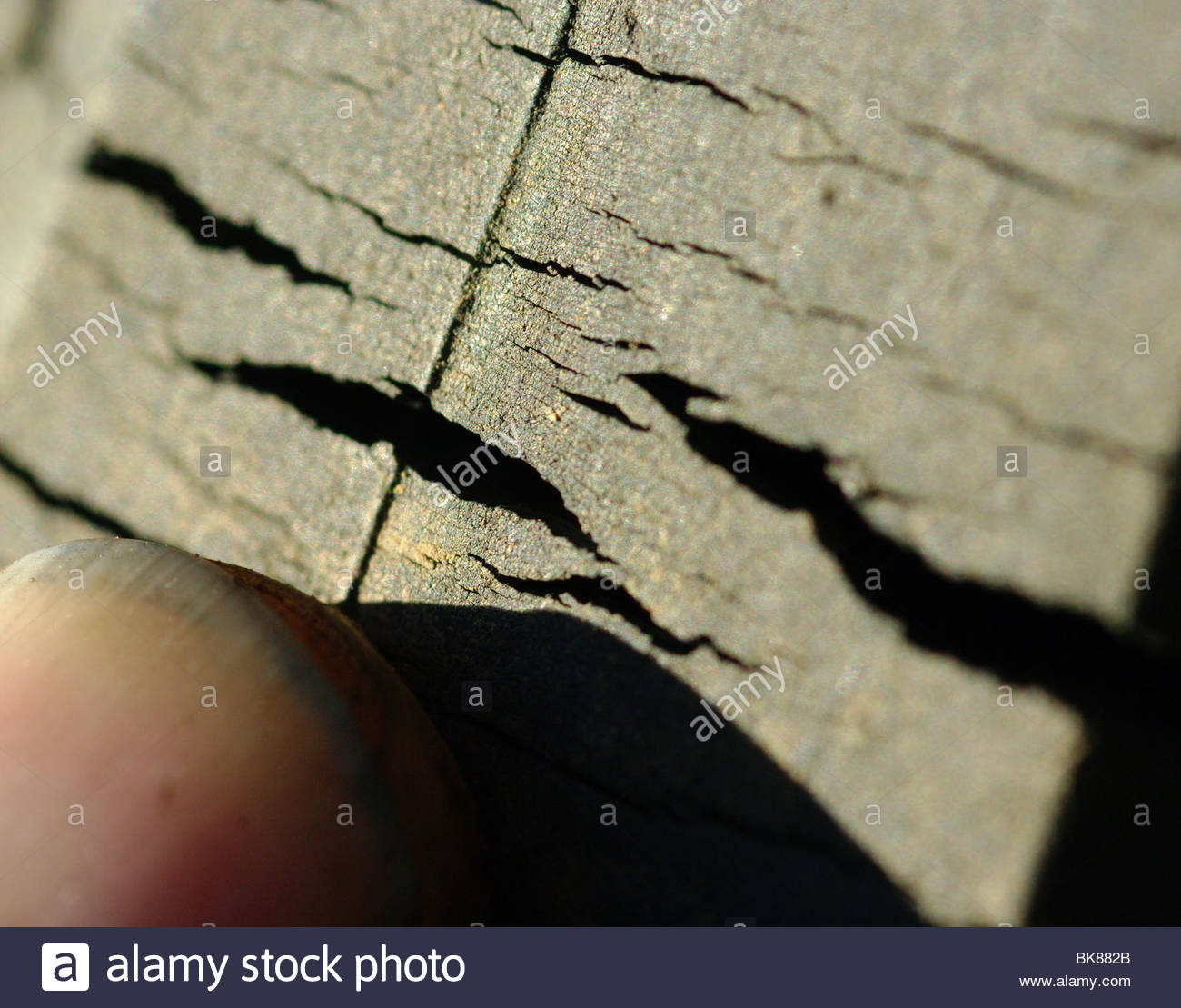 Bold Tyres High Resolution Stock Photography and Images - Alamy