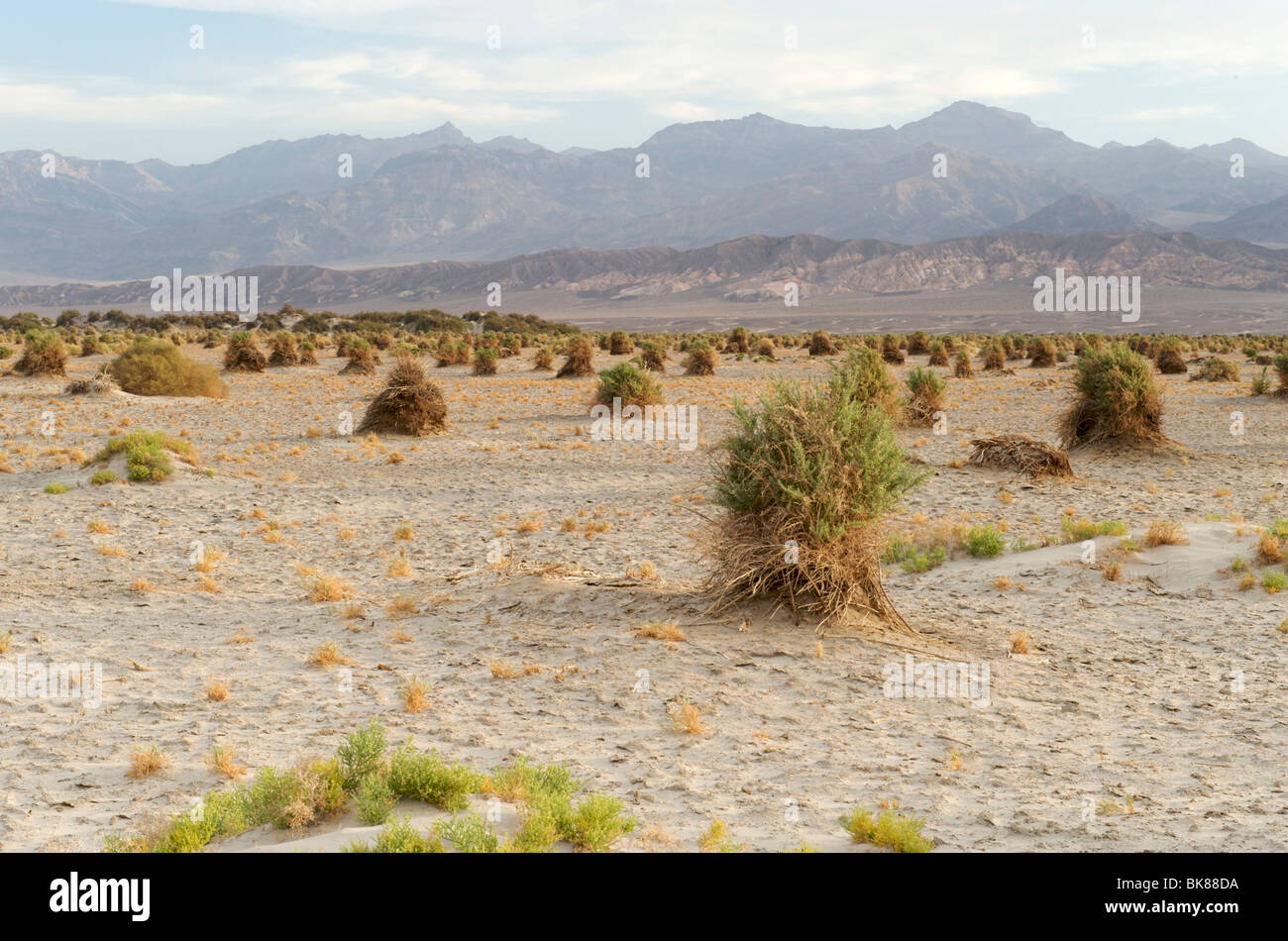 Death valley nationalparks hi-res stock photography and images - Alamy