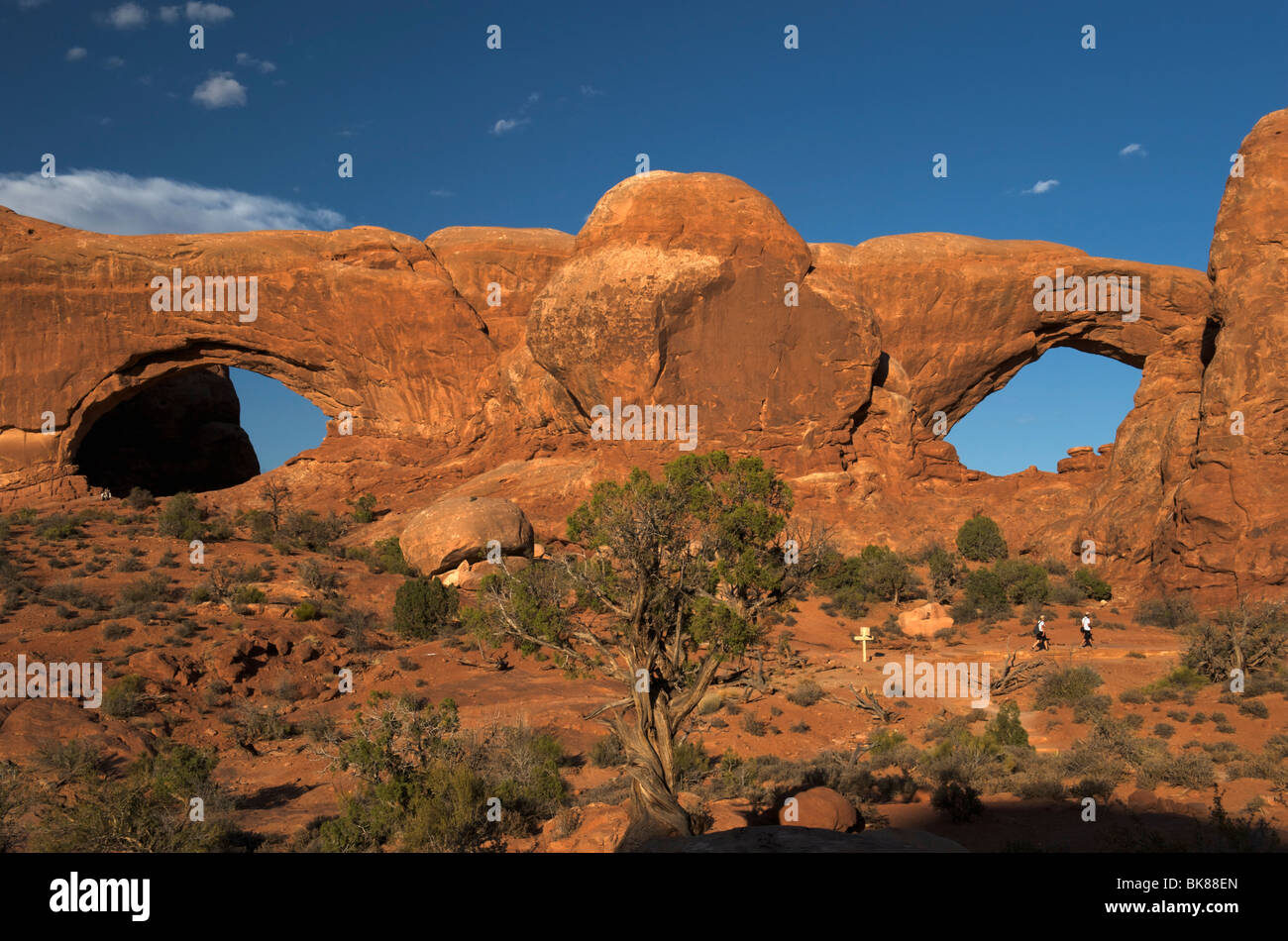 North window and south window hi-res stock photography and images - Alamy