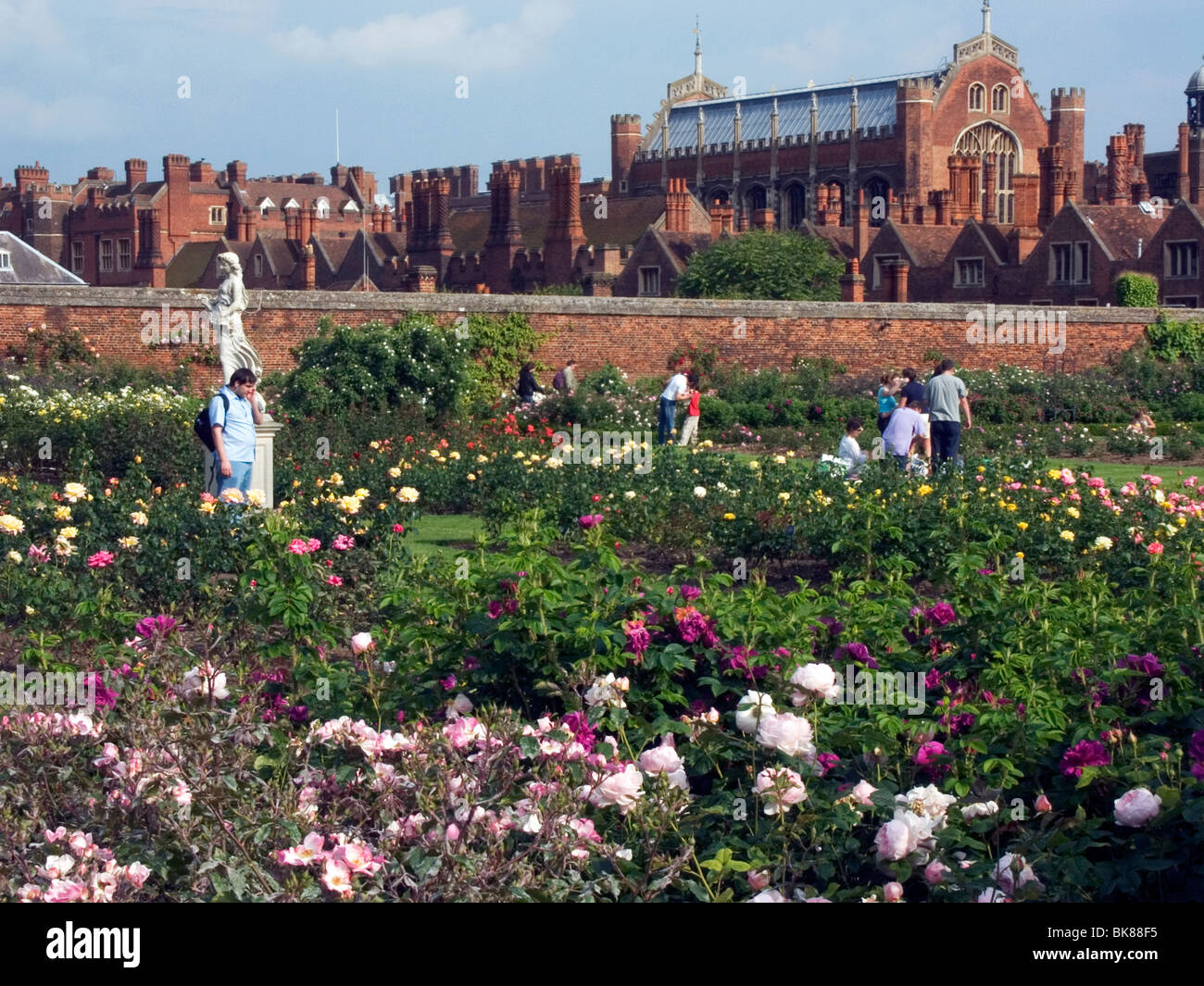 Rose court hi-res stock photography and images - Alamy