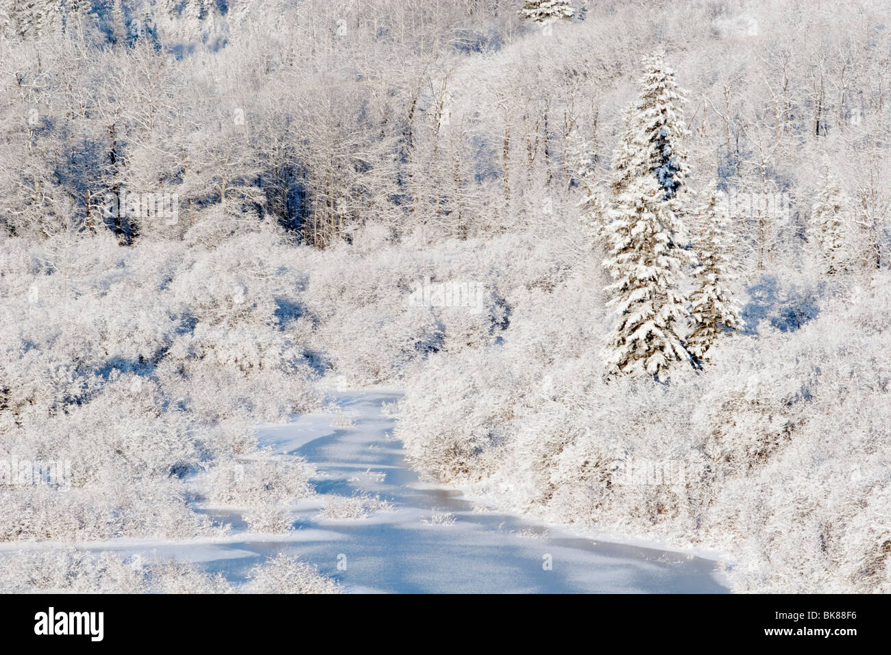Elbow river hi-res stock photography and images - Alamy