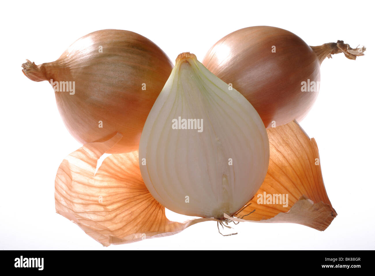 Cutout Onions High Resolution Stock Photography and Images - Alamy