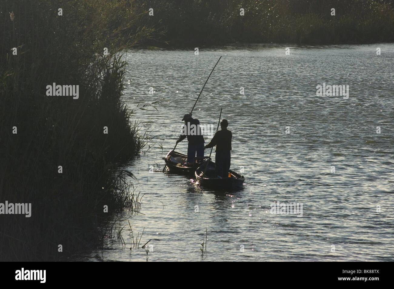 Valencia province la albufera fishing hi-res stock photography and ...