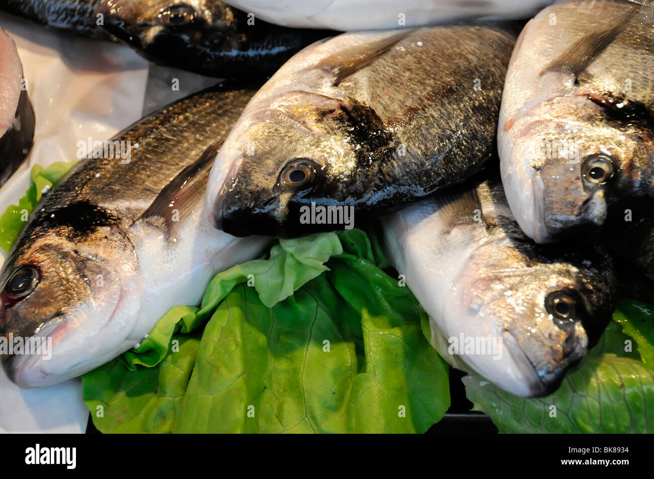 Fish booths hi-res stock photography and images - Alamy