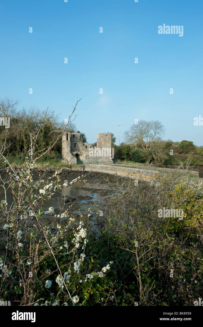 Magee Castle Strangford Lough Co Down Stock Photo - Alamy
