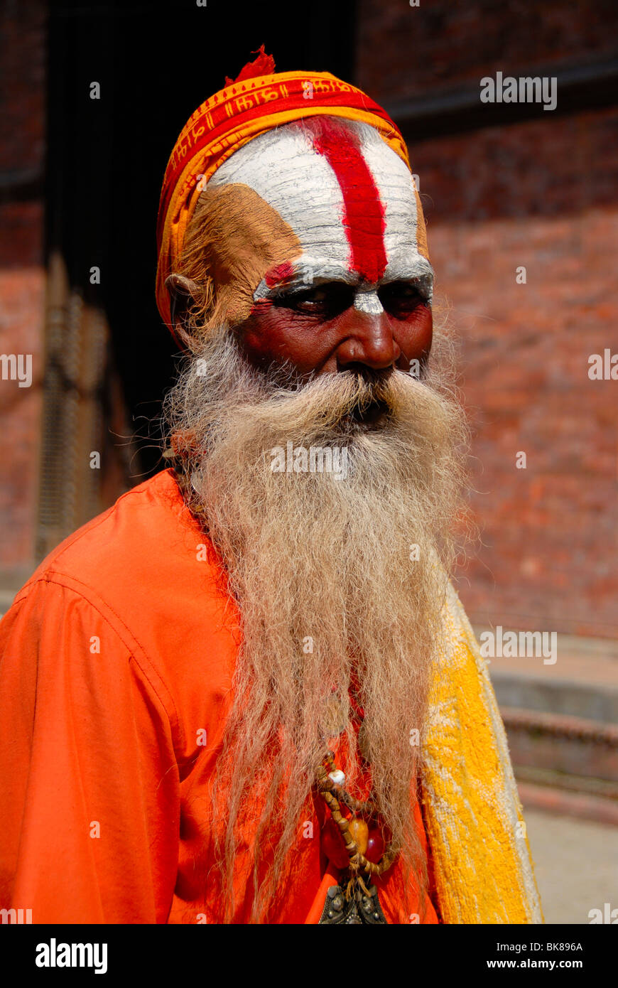 UNESCO World Heritage, Hinduism, portrait of a sadhu, brightly painted ...