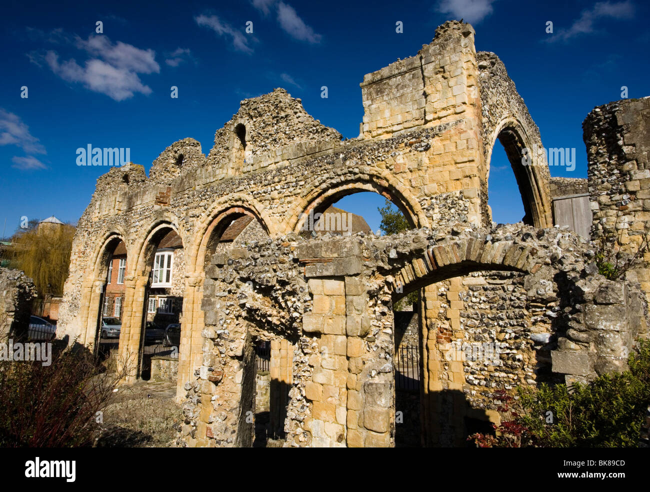 Ruins of the hall of the Infirmary, where the sick Monks used to reside ...