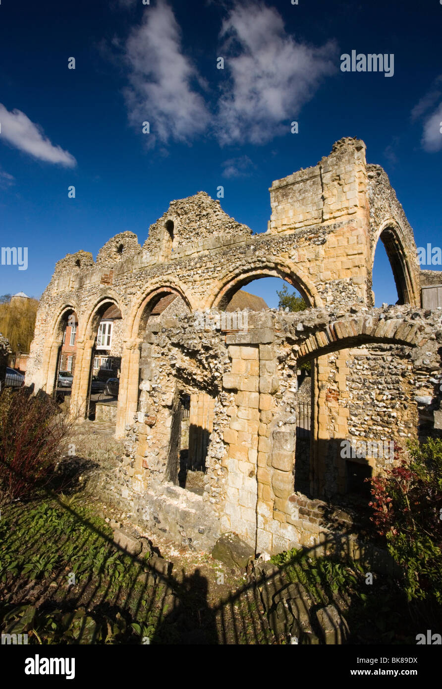 Ruins of the hall of the Infirmary, where the sick Monks used to reside ...