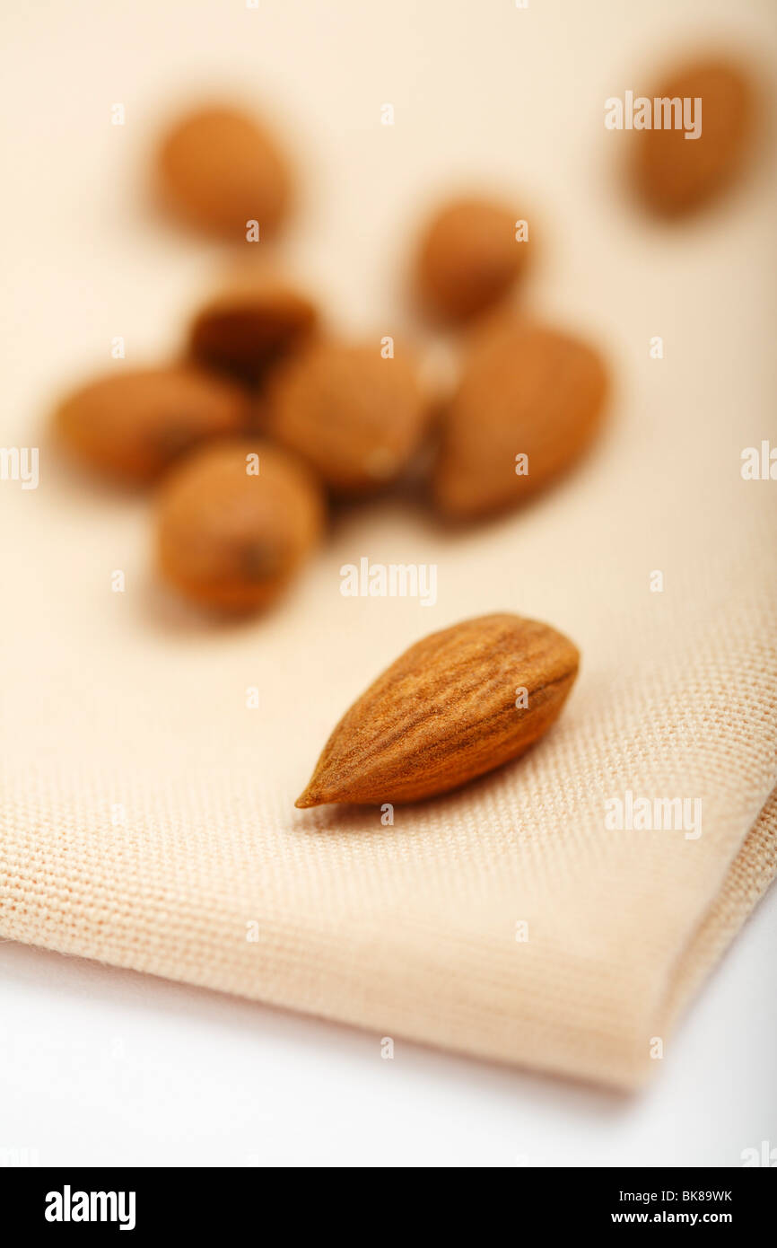 Braune nuss hi-res stock photography and images - Alamy