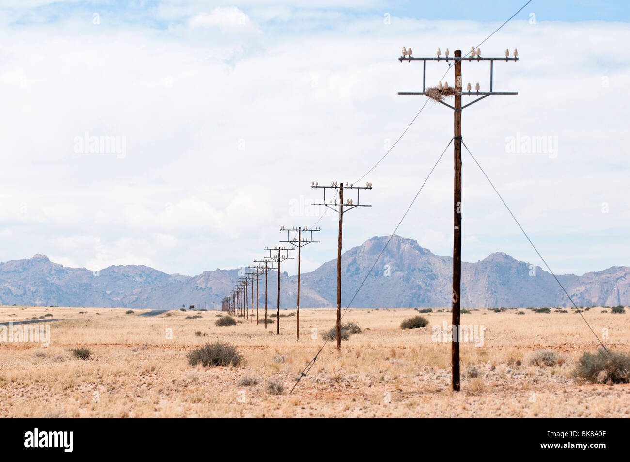 Power Utility Poles fade into the distance on the road to Luderitz ...