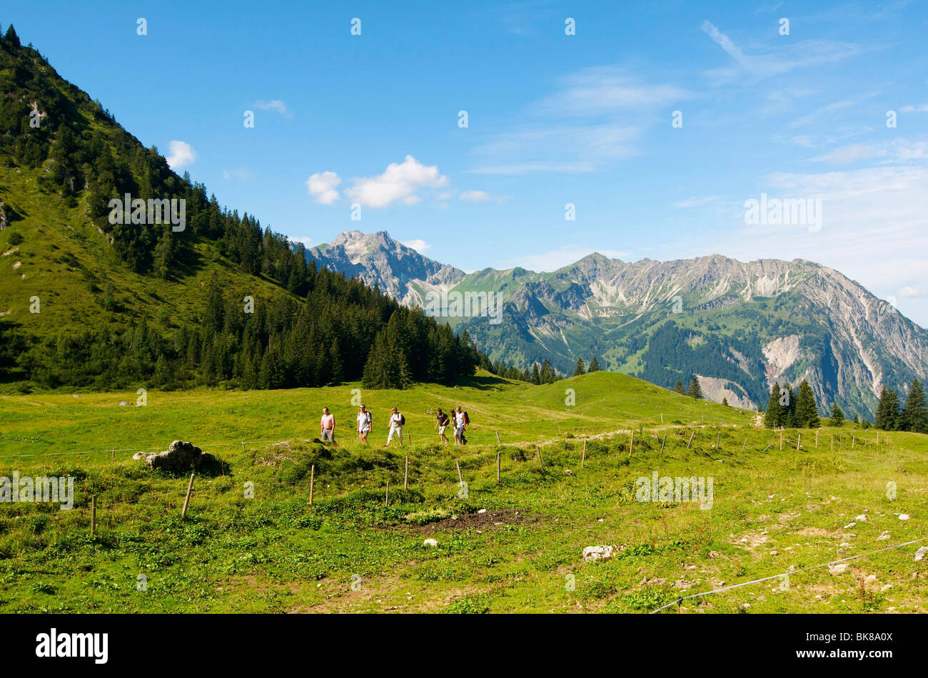 Willersalpe alp, Hinterstein, Hintersteiner Valley, Bad Hindelang ...