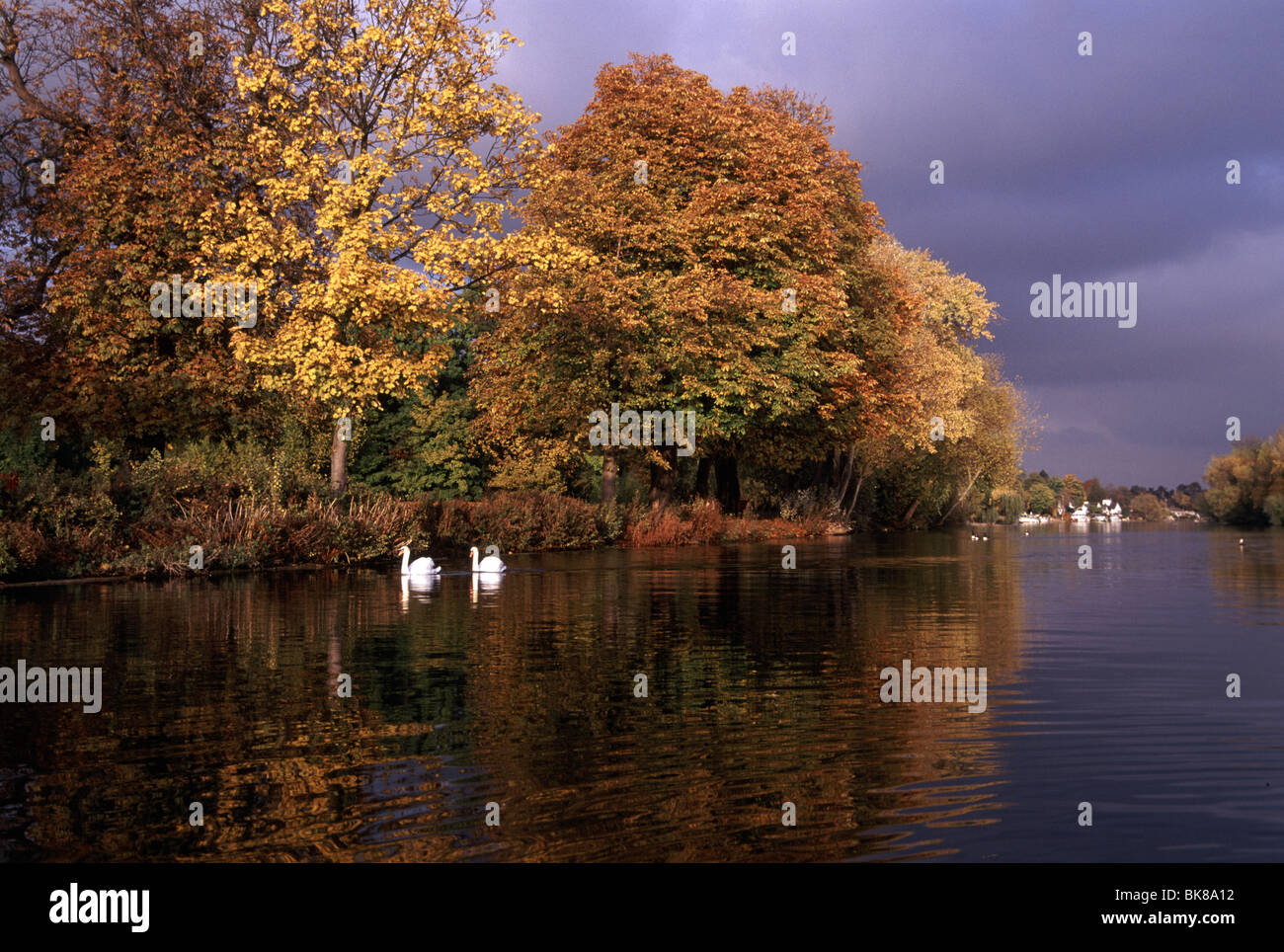 English seasons hi-res stock photography and images - Alamy