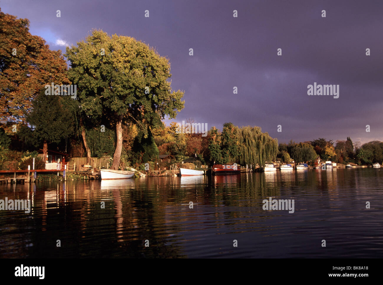 River Thames in Autumn Stock Photo - Alamy