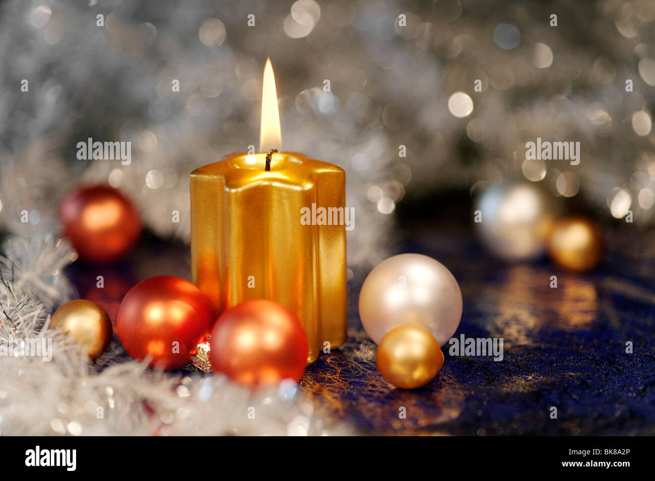 Golden flame tree hi-res stock photography and images - Alamy