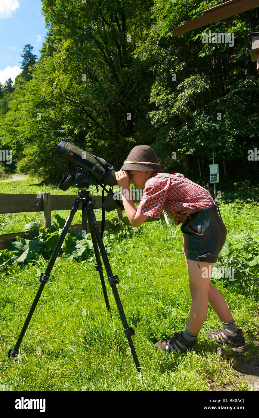 Eagle observatory at Giebelhaus in Hinterstein Valley, Bad Hindelang ...