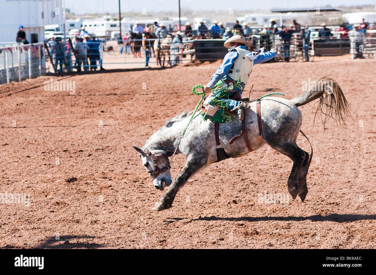 Saddle bronc riding a bronco arizona hi-res stock photography and ...