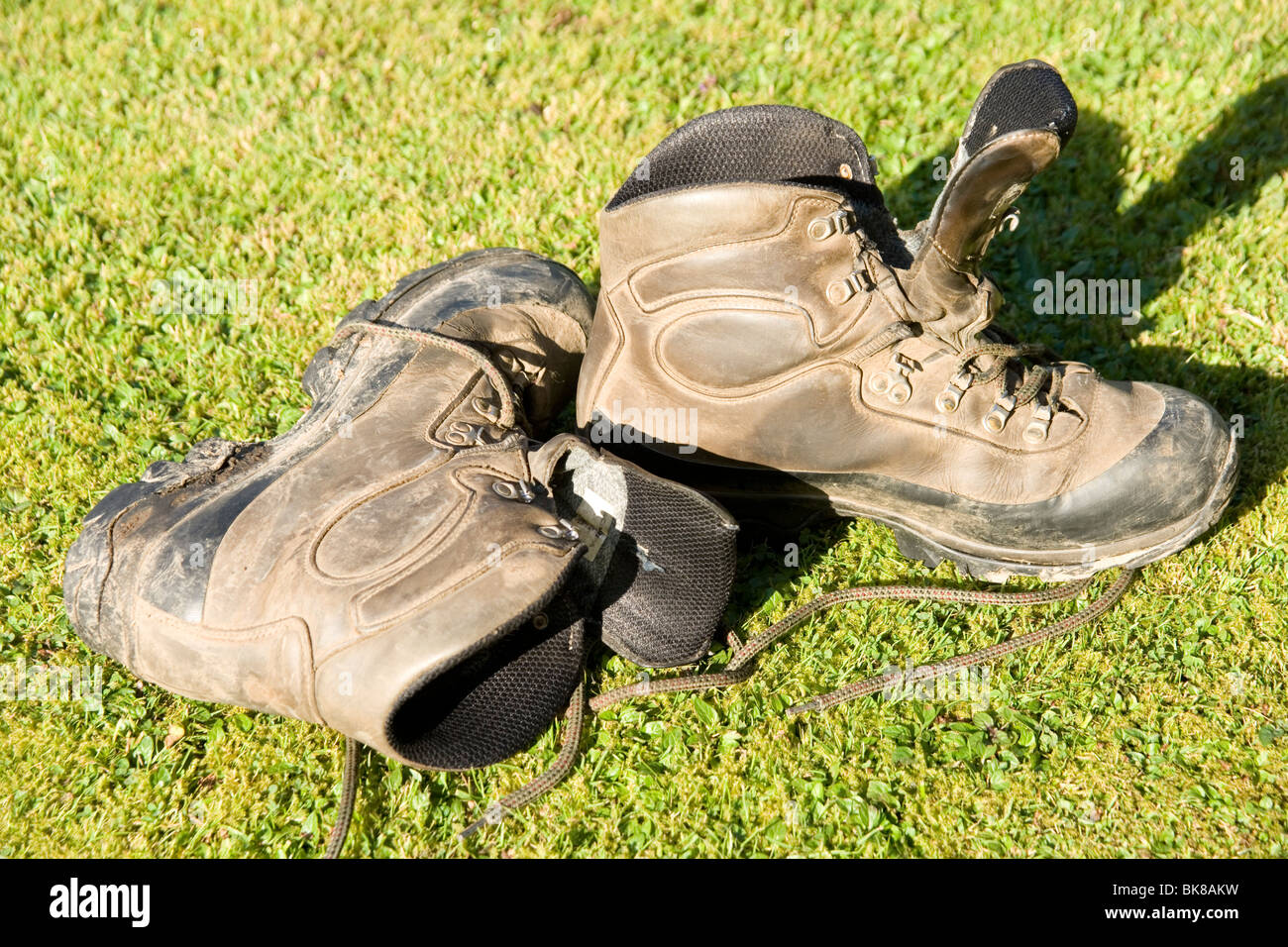 Hiking boots on the grass Stock Photo - Alamy